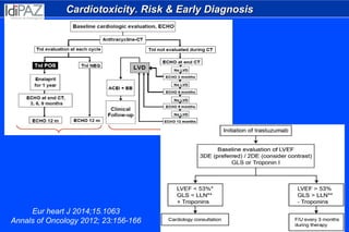 Cardiotoxicity. risk assessment and early diagnosis. | PPT