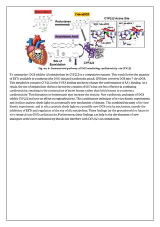 Cardiotoxicity induced by Doxorubicin | DOCX