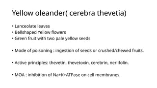 cardiotoxic plant poisoning and rodenticide poisoning.pptx