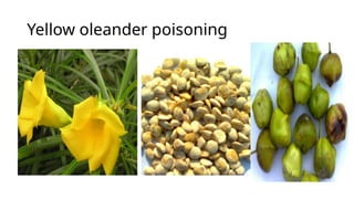 cardiotoxic plant poisoning and rodenticide poisoning.pptx