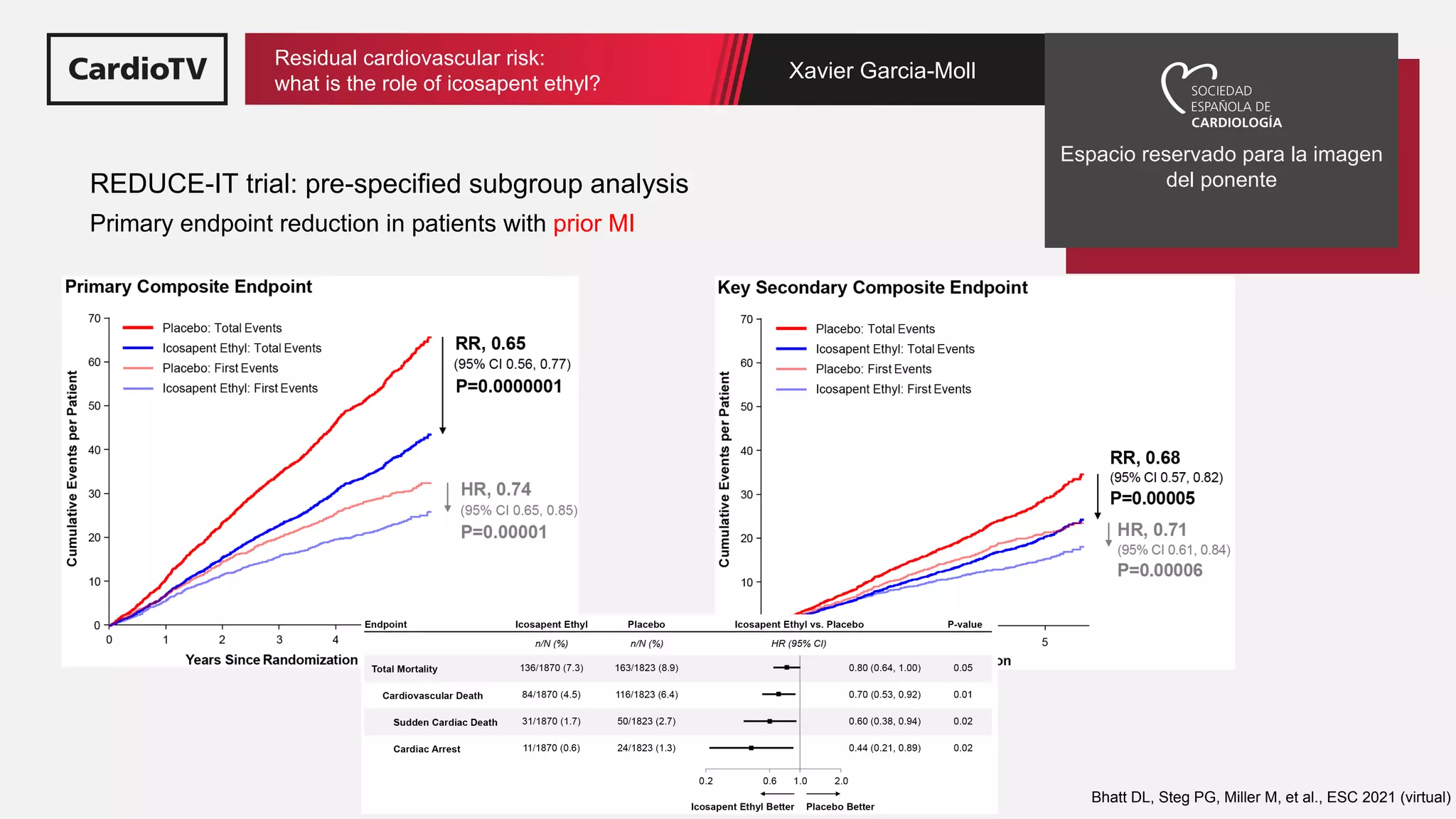 Icosapent ethyl: evidence and guidelines recommendations | PDF