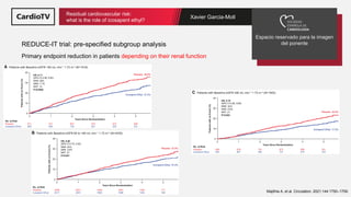 Icosapent ethyl: evidence and guidelines recommendations | PDF