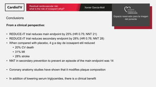 Icosapent ethyl: evidence and guidelines recommendations | PDF