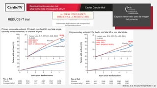 Icosapent ethyl: evidence and guidelines recommendations | PDF