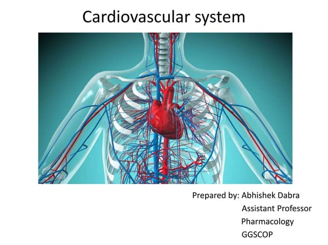 3. Cardiovacular system.pptx