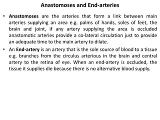 3. Cardiovacular system.pptx