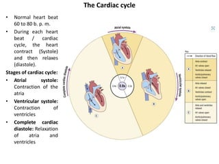 3. Cardiovacular system.pptx