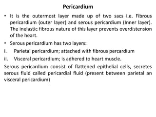 3. Cardiovacular system.pptx