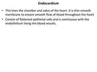3. Cardiovacular system.pptx