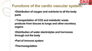 CARDIOVASCLAR------SYSTEM------ISHU.pptx