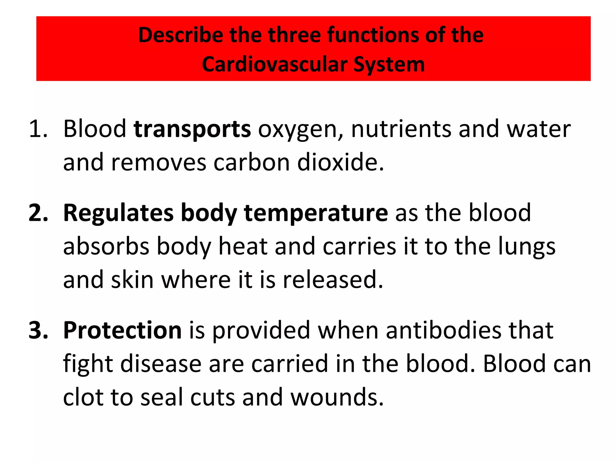 Cardiovascular System | PPT