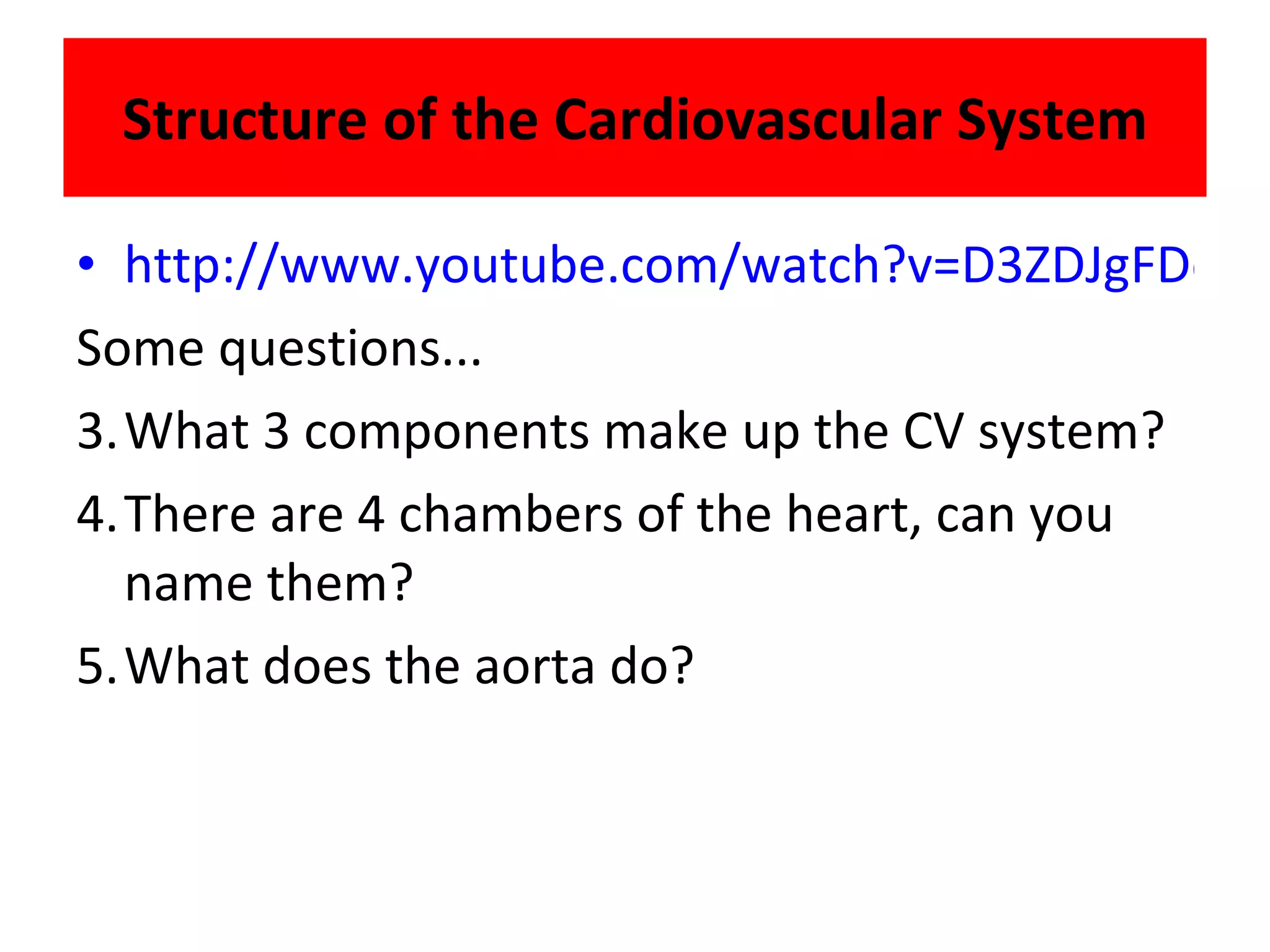 Cardiovascular System | PPT