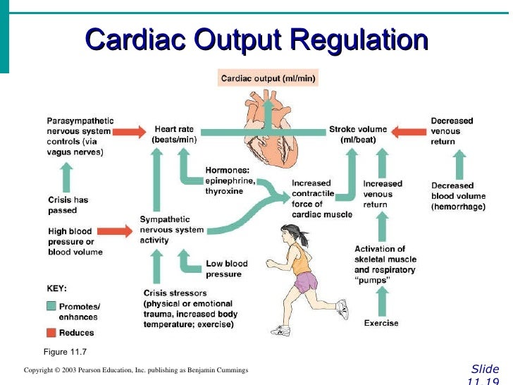 Cardiac Output Chart