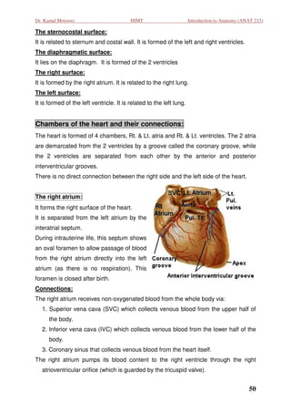 Cardiovascular | PDF