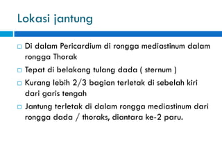 Cardiovascular | PPT