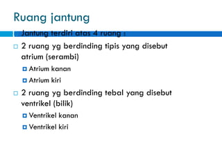 Cardiovascular | PPT