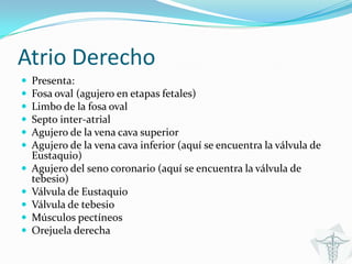 Anatomía Cardiovascular | PPTX