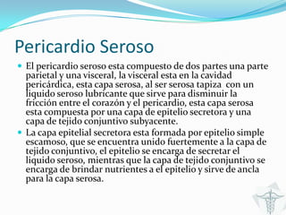 Anatomía Cardiovascular | PPTX