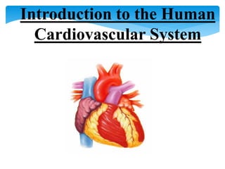 CARDIOVASCULAR.ppt