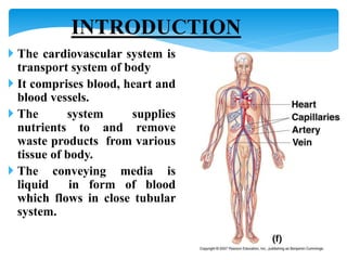 CARDIOVASCULAR.ppt
