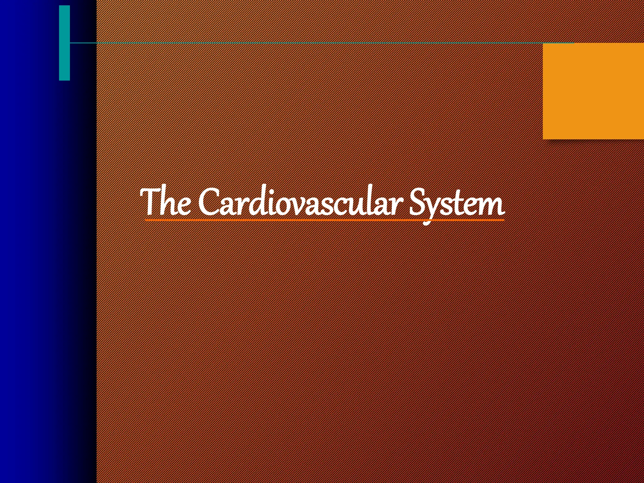 CARDIOVASCULAR SYSTEM OF THE BODY. ANATOMY | PPT