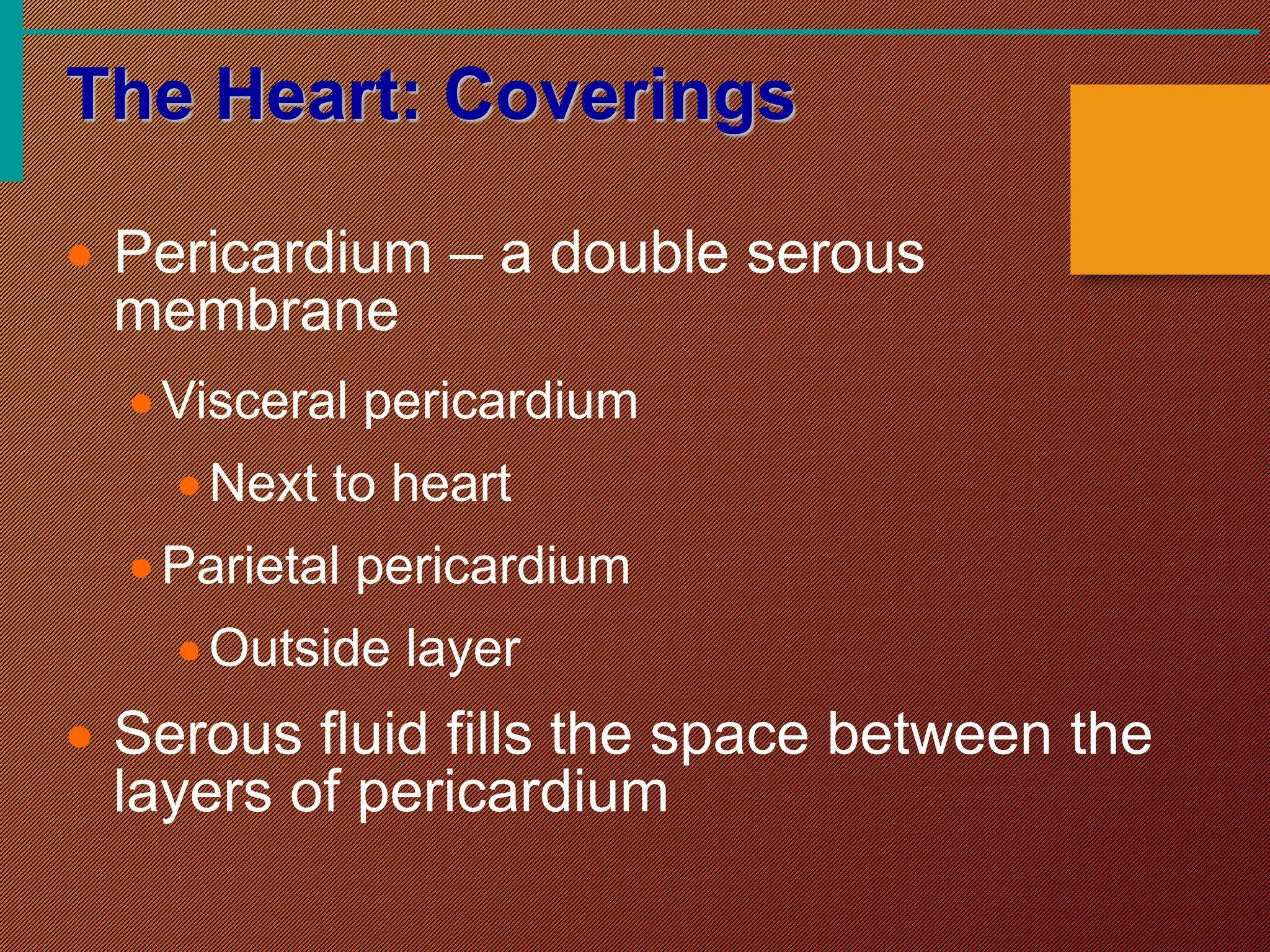 CARDIOVASCULAR SYSTEM OF THE BODY. ANATOMY | PPT