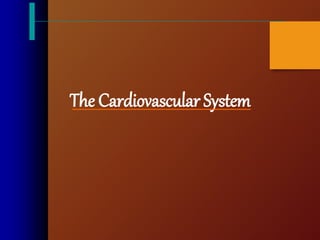 CARDIOVASCULAR SYSTEM OF THE BODY. ANATOMY | PPT