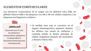 SISTEMA CARDIOVASCULAR. Anatomía y fisiología | PDF