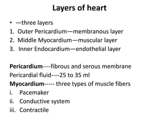 cardiovascular anatomy and physiology | PDF