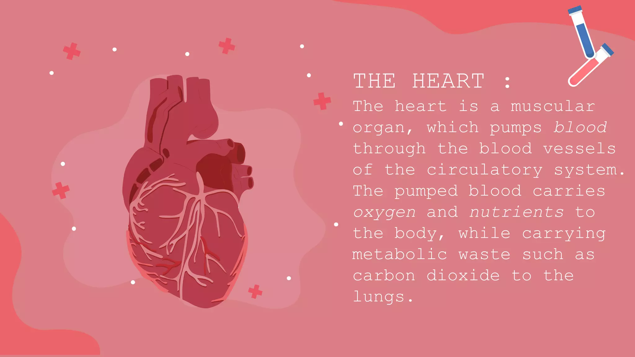 cardiovascular-disease.pptx