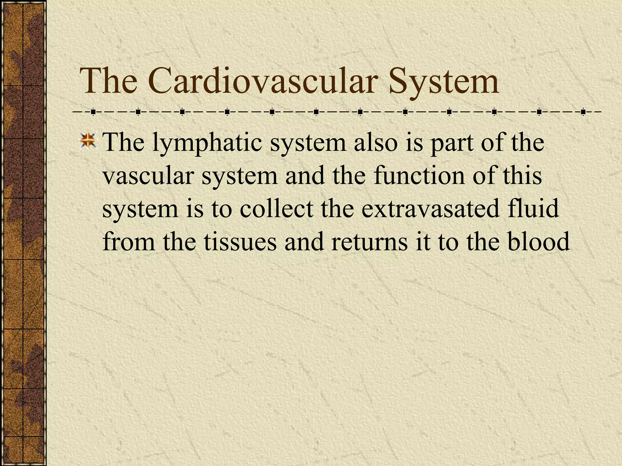 Cardiovascular & Hematologic System | PPT