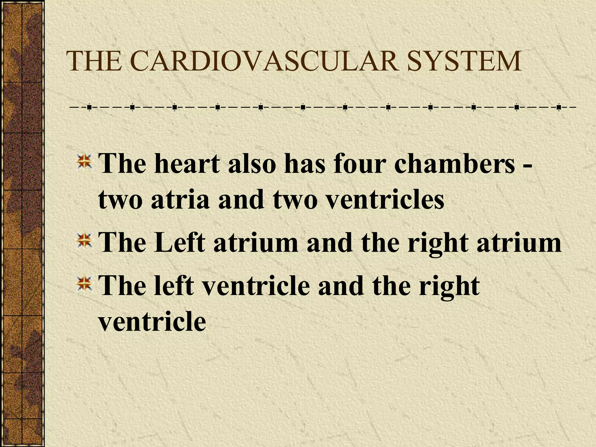 Cardiovascular & Hematologic System | PPT