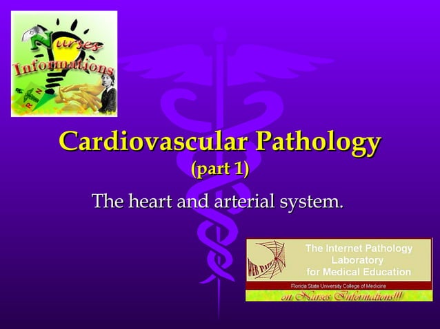 Cardiovascular Pathology Part 1 Ppt