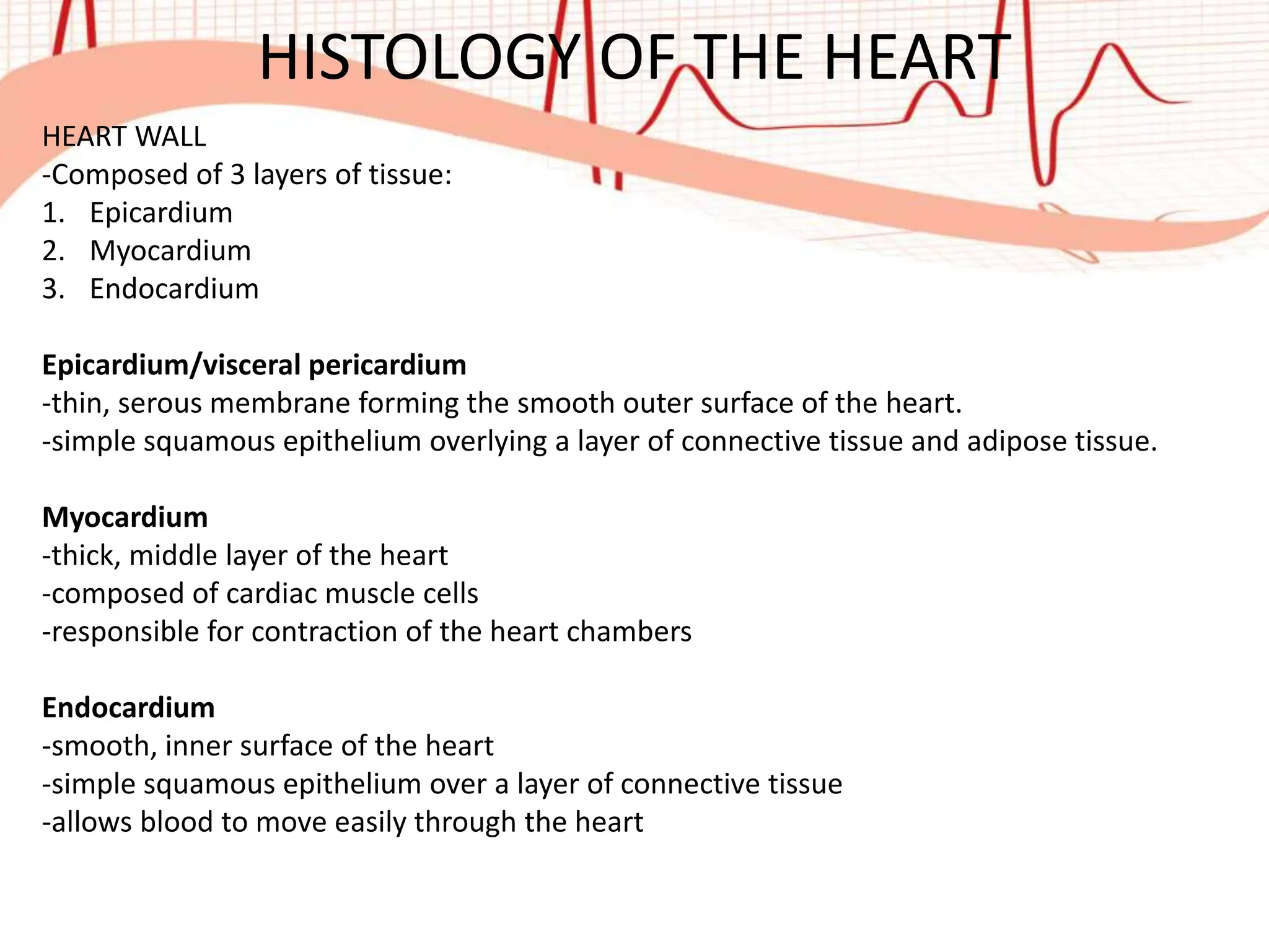 CARDIOVASCULAR-SYSTEM-1.pptx