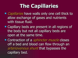 Cardiovascular system | PPT