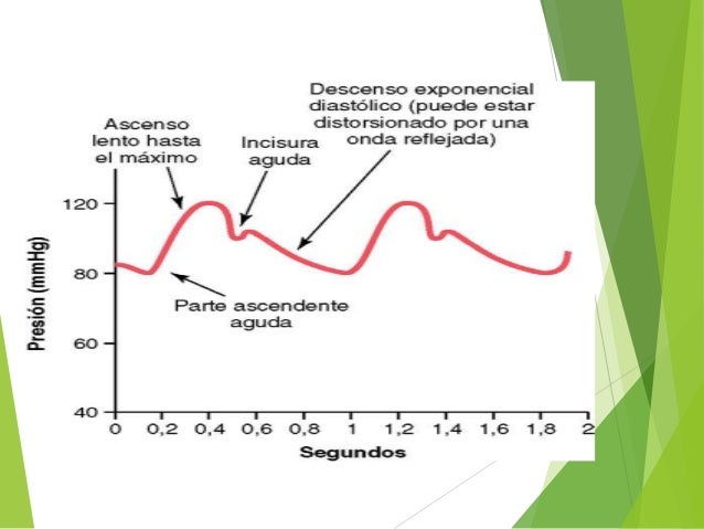 Ondas de pulso