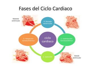 Cardiovascular2 | PPTX