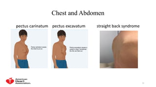 Cardiovascular aessessment | PDF