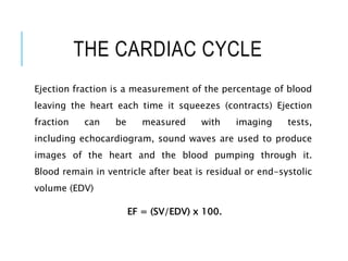 Cardiovascular Anatomy.pptx