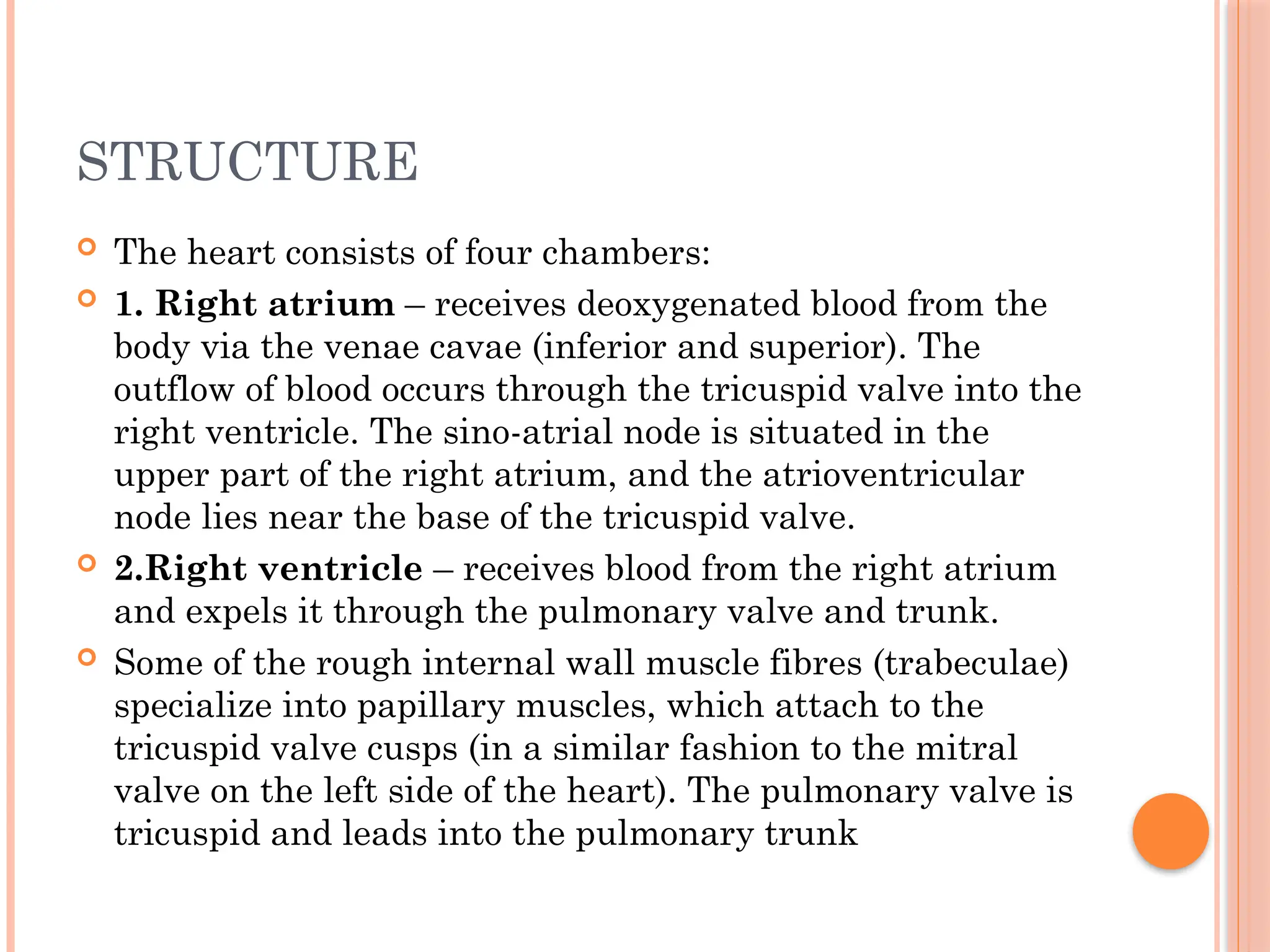 Cardiovascular anatomy and physiology .ppx