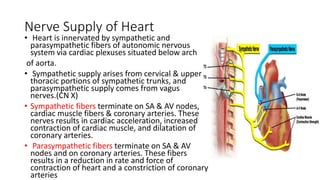 Cardiovascular anatomy and imaging Techniques | PPTX
