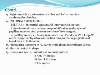 Cardiovascular anatomy and physiology ppt | PPTX