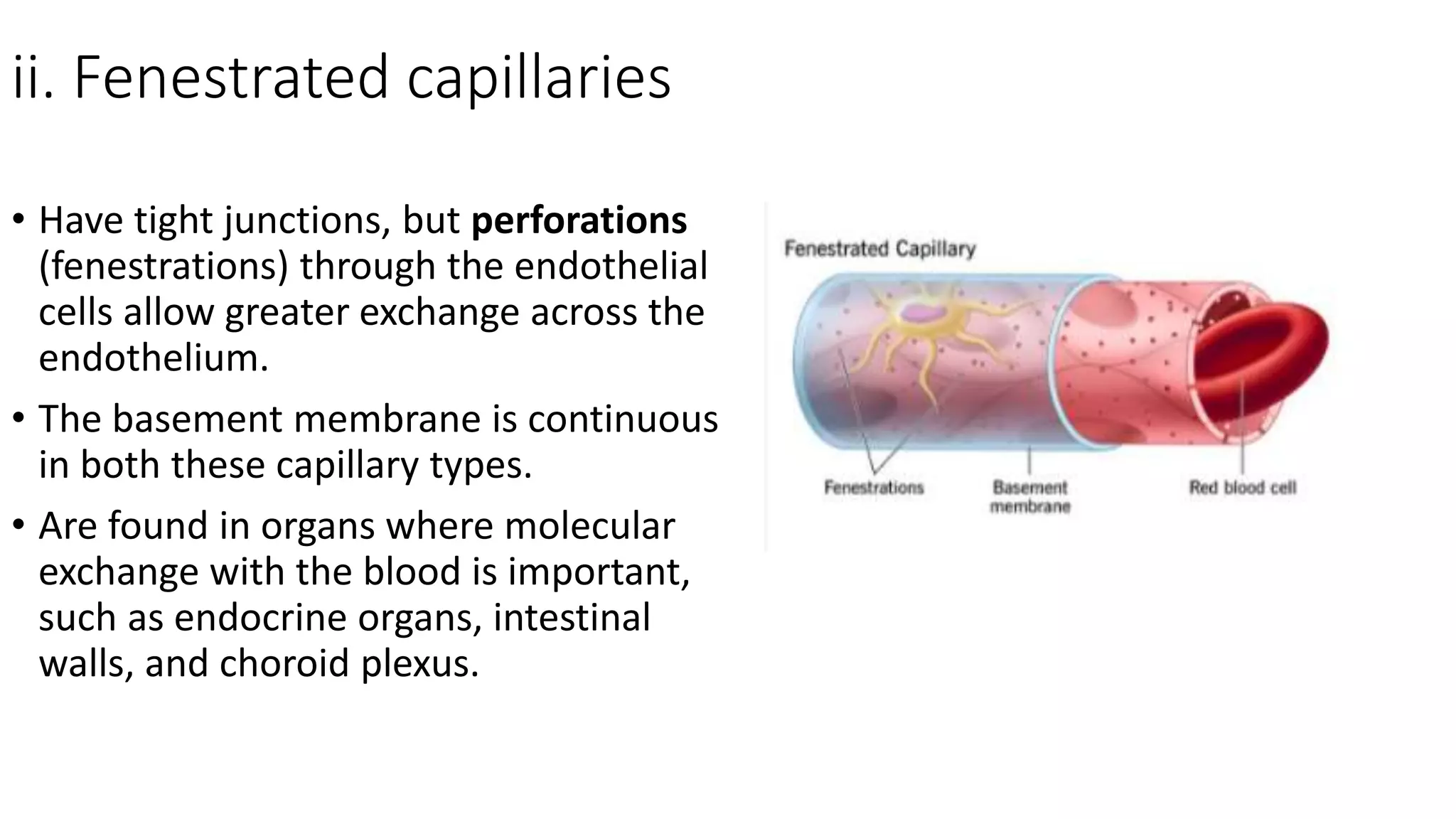 Histology Anatomy of Cardiovascular System | PPTX