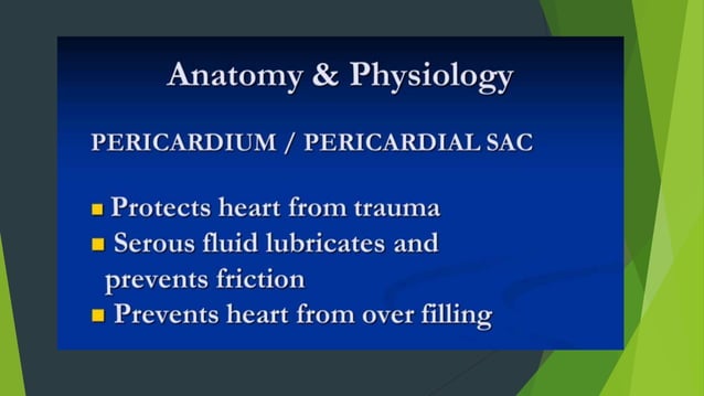 cardiovascular and peripheral assessment.pptx