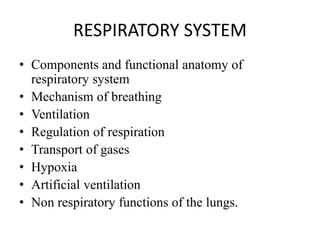 Cardiovascular and respiratory system | PPTX | Lung and Respiratory ...