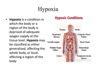 Cardiovascular and respiratory system | PPTX