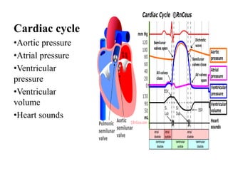 Cardiovascular and respiratory system | PPTX