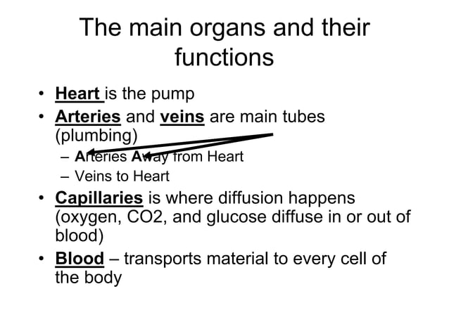 Cardiovascular_and_Respiratory_System.ppt