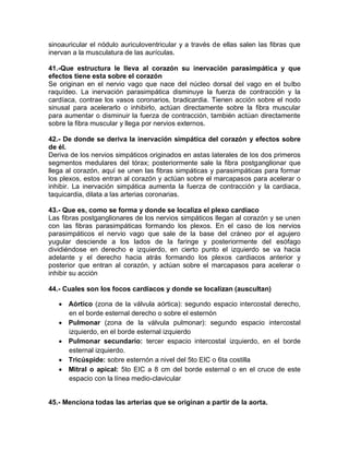 Apuntes anatomía cardiovascular | PDF