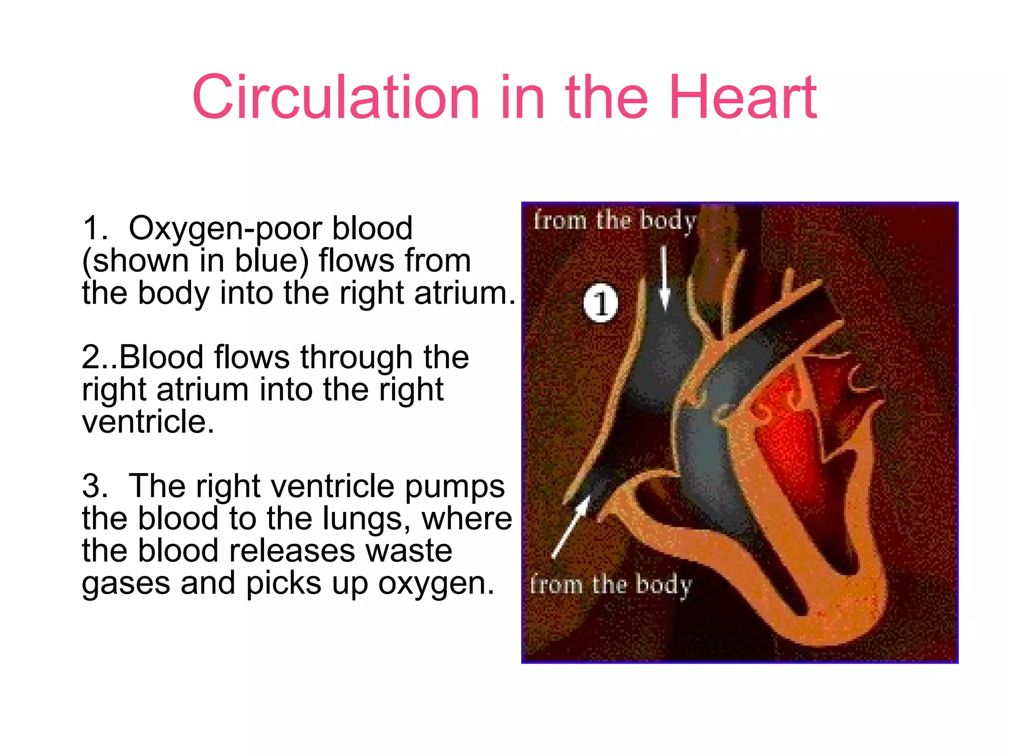 Cardiovascular assessment | PPT